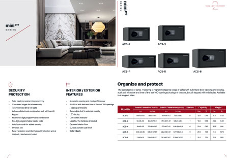 Executive Safe - Product Catalogue